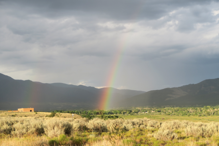 The Rainbow Show – Jason Molin